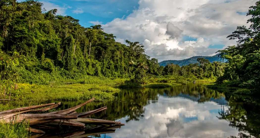 Parque Nacional del Manu, biodiversidad en la Amazonía peruana ...